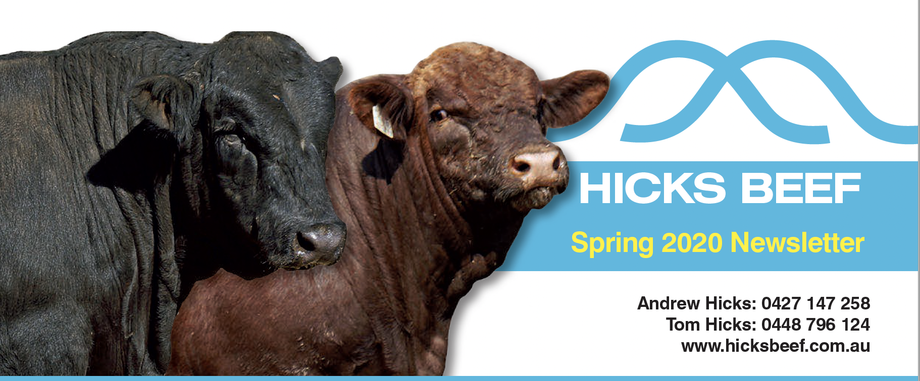 Hicks Beef 2020 Spring Sale • Hicks Beef